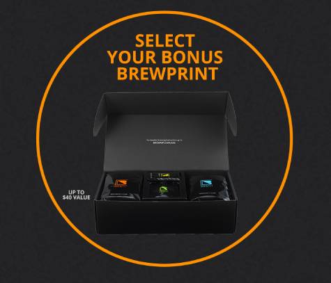 BrewArt BeerDroid | Brewart